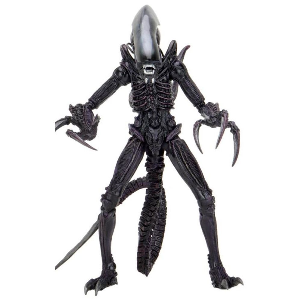 Figura Razor Claws Alien - Alien vs Predator - 7? Scale Action Figure ...